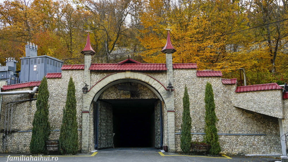 atracții turistice în Republica Moldova_Branesti_06 - Familia Hai Hui