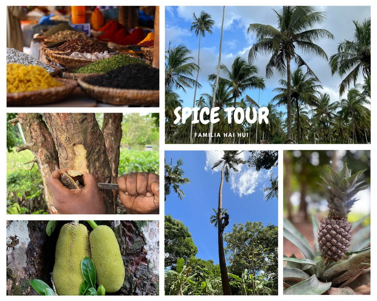 SPICE TOUR - Familia Hai Hui